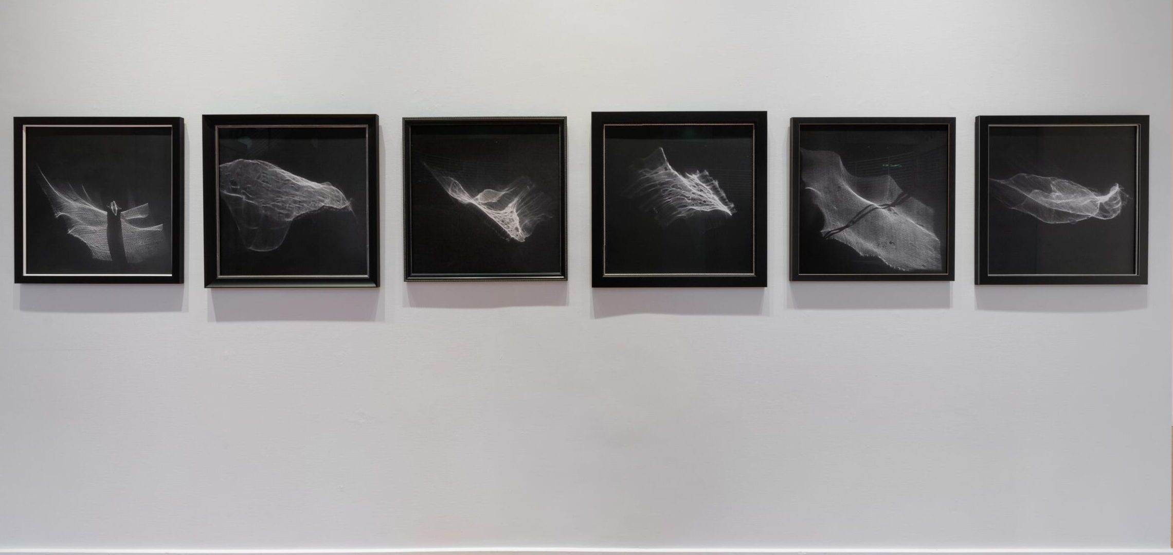 Laurel Fisher Gallery - The Tate Condo Assoc.